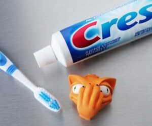 Cat Toothpaste Cap