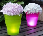 LED Plant Pot
