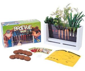 Root View Growing Box