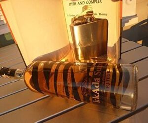 Hidden Flask Book Safe