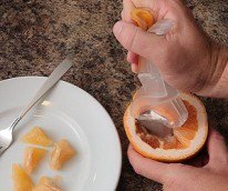 Grapefruit Sectioning Tool