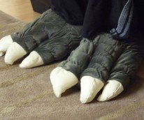 Godzilla Slippers