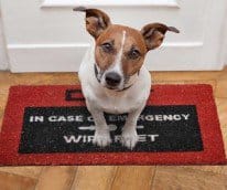 Emergency Doormat