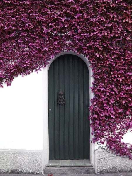 10 Creative And Unusual Door Designs