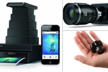 20 Cute Snakes That Are So Small You Will Want One