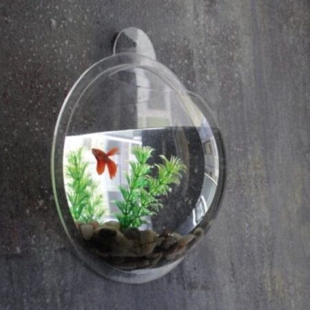 Weird And Wonderful Aquariums