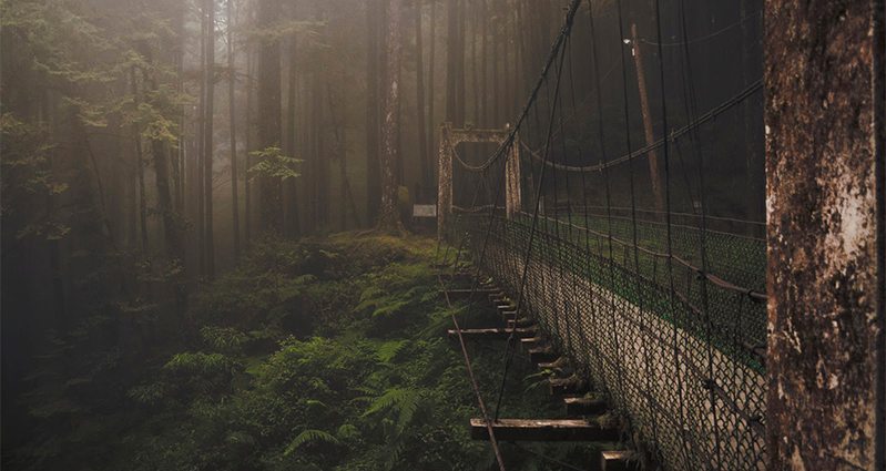 18 Magnificent Bridges That Will Blow You Away