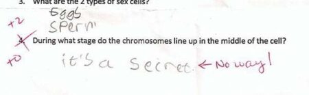 28 Brilliant test answers given by kids. Some of these are genius!