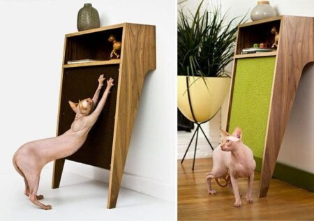 22 Creative Furniture Ideas For Cats