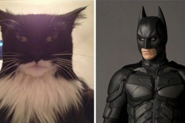 20 Hilarious Expectations Vs. Reality Baby Photos