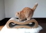 22 Creative Furniture Ideas For Cats