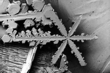 Snowflakes Under a Microscope Are Incredibly Beautiful