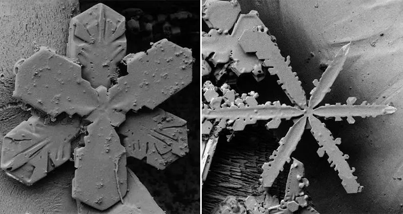 Snowflakes Under a Microscope Are Incredibly Beautiful