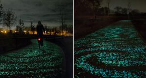 Solar Powered Bike Path Glows During The Night