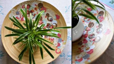 10 Creative Bowl Designs You Can Make Yourself