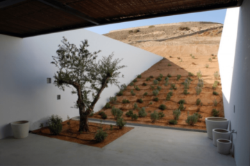18 Buildings So Well-Disguised You May Not Even Notice Them