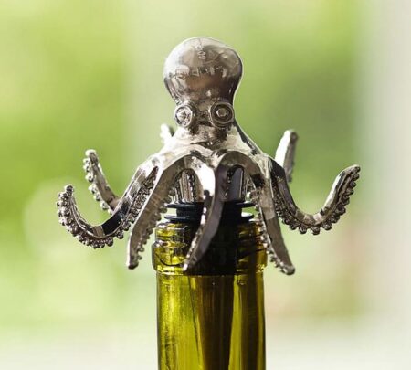 19 Amazing Octopus Related Items You Will Love