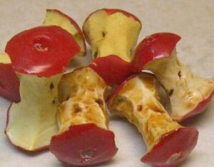 15 Creative Ways To Re-use Kitchen Waste You've Probably Not Thought Of ...