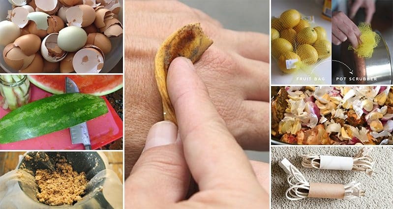 14 Creative Ways To Re-use Kitchen Waste You've Probably Not Thought Of ...