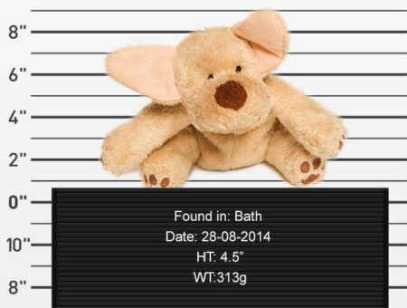 This Rail Provider Has An Adorable Way Of Reuniting Lost Toys With ...