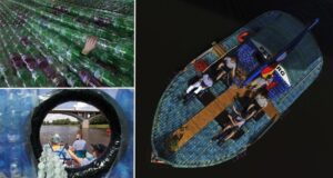 These Guys Made An Awesome Boat With Plastic Bottles And Sailed It ...