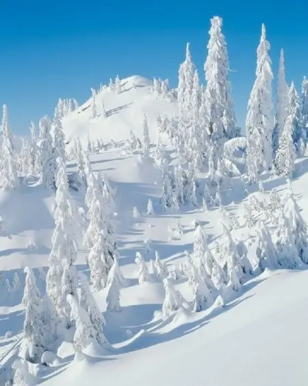 14 Insanely Beautiful Photos That Will Make You Love Snow