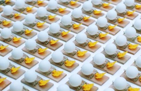 Watch As 1,650 Ping Pong Balls In Mousetraps Are Set Off. The Result Is ...