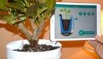 Never Kill Another Plant Again With This Smart Pot