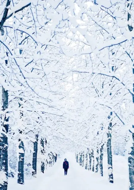 14 Insanely Beautiful Photos That Will Make You Love Snow