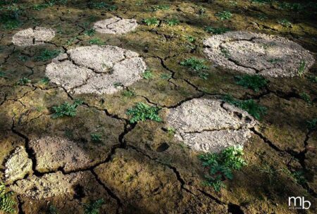 These Awesome Land Art Installations Slowly Dissolve Back into the Earth