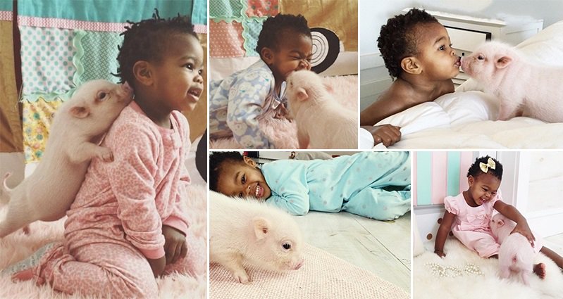 This Little Girl And Her Loyal Piglet Are The Cutest Pair Ever