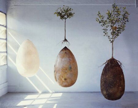 Turn Your Loved Ones Into Trees With These Organic Burial 'Pods'
