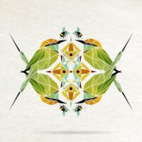 This Artist Creates Awesome Tangram-Inspired Geometric Animal Illustrations