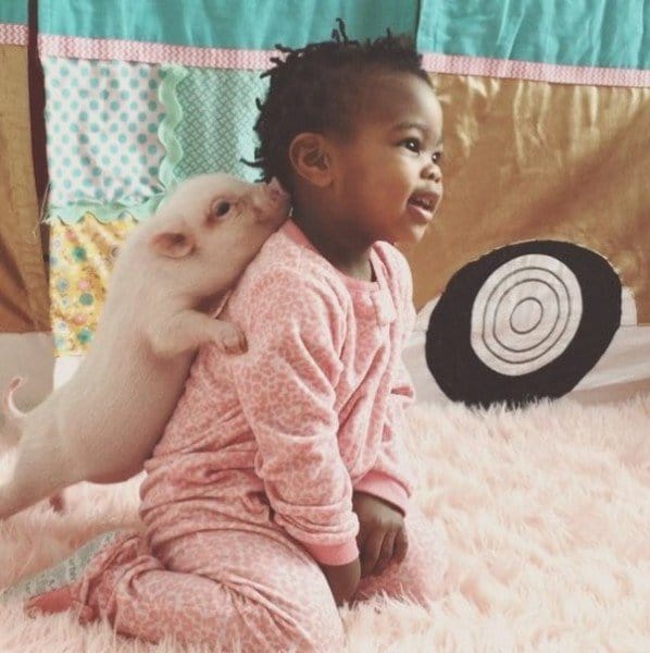 This Little Girl And Her Loyal Piglet Are The Cutest Pair Ever