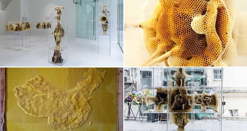 Artist Ren Ri Works With Bees To Create Awesome And Unusual Works Of Art