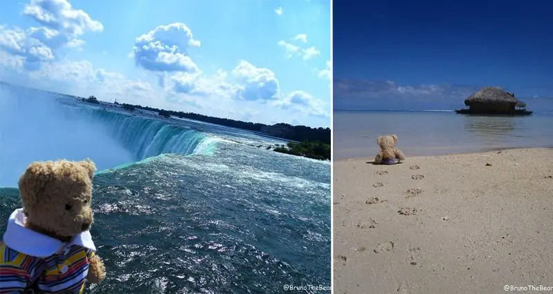 Meet Bruno The Bear Who Is Traveling The World One Landmark At A Time