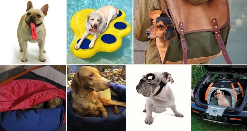14 Awesome Items Every Dog Will Love - Part 2