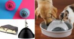 15 Awesome Items Every Dog Will Love - Part 1