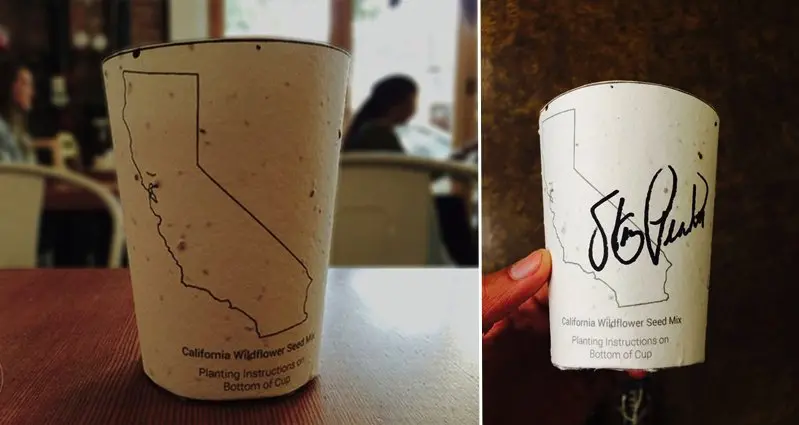 Biodegradable Coffee Cups With Built-In Seeds Grow Into Trees When ...