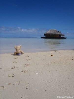 Meet Bruno The Bear Who Is Traveling The World One Landmark At A Time