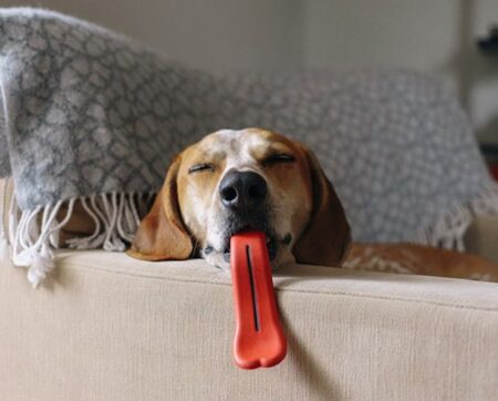 15 Hilariously Funny Toys For Dogs