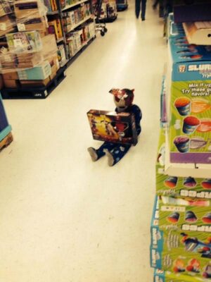 16 Examples Of When Shopping With Children Goes Wrong