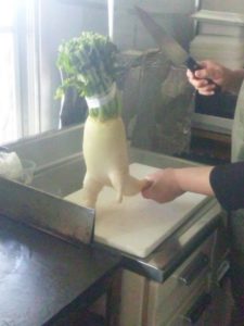 This Internet-Famous Running Radish Has Some Awesome Adventures
