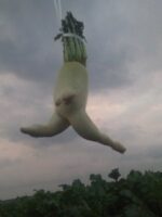 This Internet-Famous Running Radish Has Some Awesome Adventures