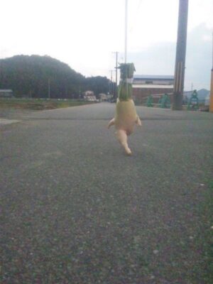 This Internet-Famous Running Radish Has Some Awesome Adventures