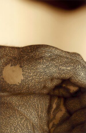 Artist Ronit Bigal Draws Incredibly Detailed Calligraphy On Peoples ...