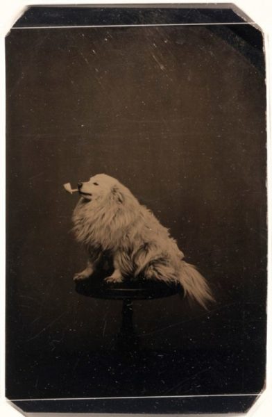 15 Bizarre Historic Photos That Prove Humans Have Always Been Odd - Part 1
