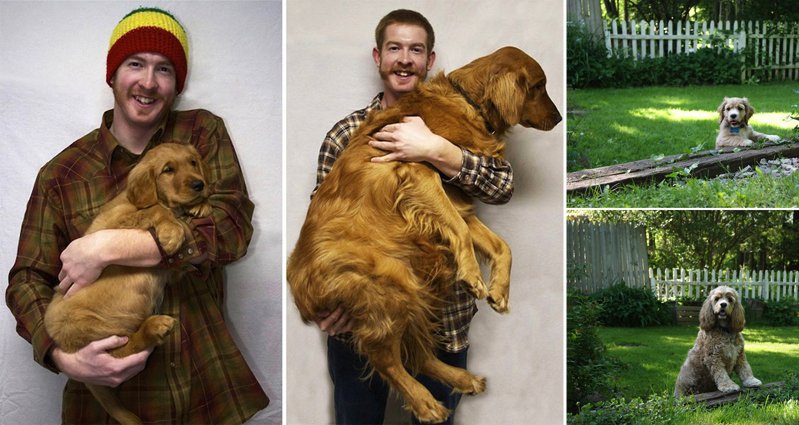 15 Before And After Photos Of Growing Canine Cuties