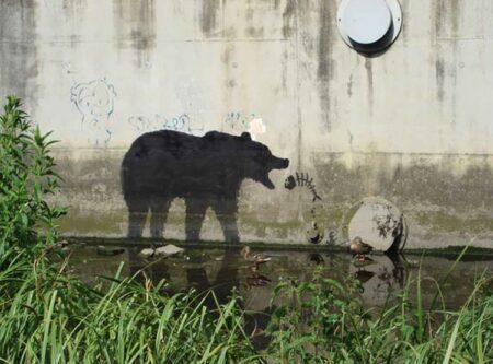 15 Images Of Powerful Street Art With An Environmental Message - Part 1