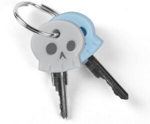 Skeleton Key Covers